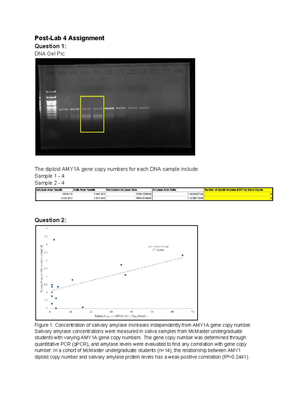 Post-Lab 4 Assignment: AMY1A Gene Copy Number & Salivary Amylase - Studocu