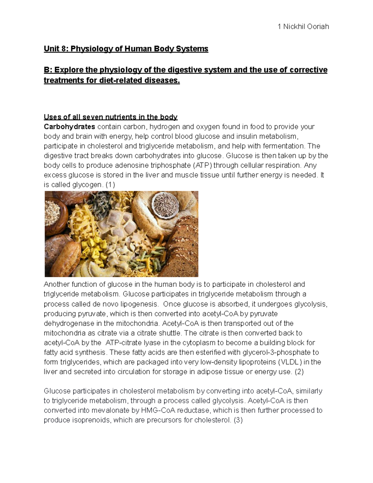 Unit 8C: Physiology of Human Body Systems - Digestive System Insights ...