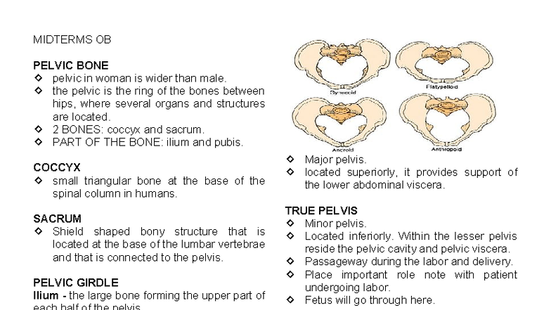 Midterm Exam OB: Pelvic Bone Anatomy and Functions in Women - Studocu