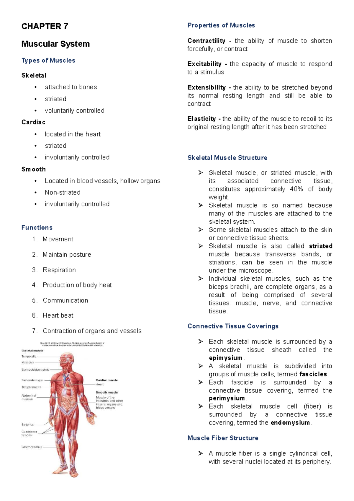 Anaphy 7: Comprehensive Review of the Muscular System - Studocu