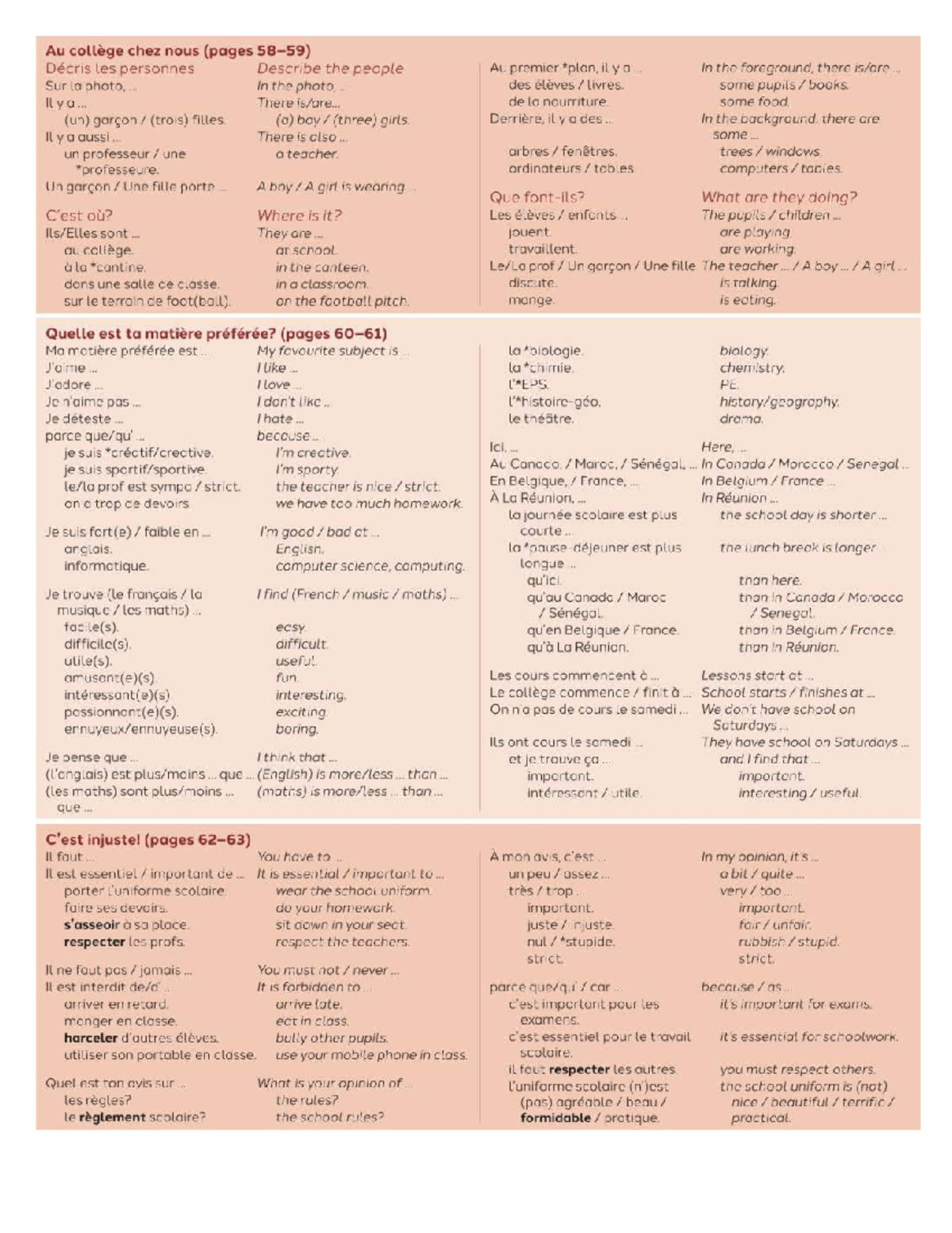 GCSE Module 3 - French Vocabulary: Describing People and School Life ...