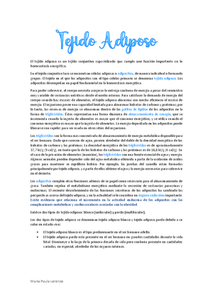 TEJIDO EPITELIAL: Organización Celular y Matriz Extracelular - Nnnno ...