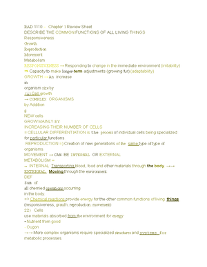 Radiographic Physics: SID, OID, and Image Quality Factors Study Guide ...