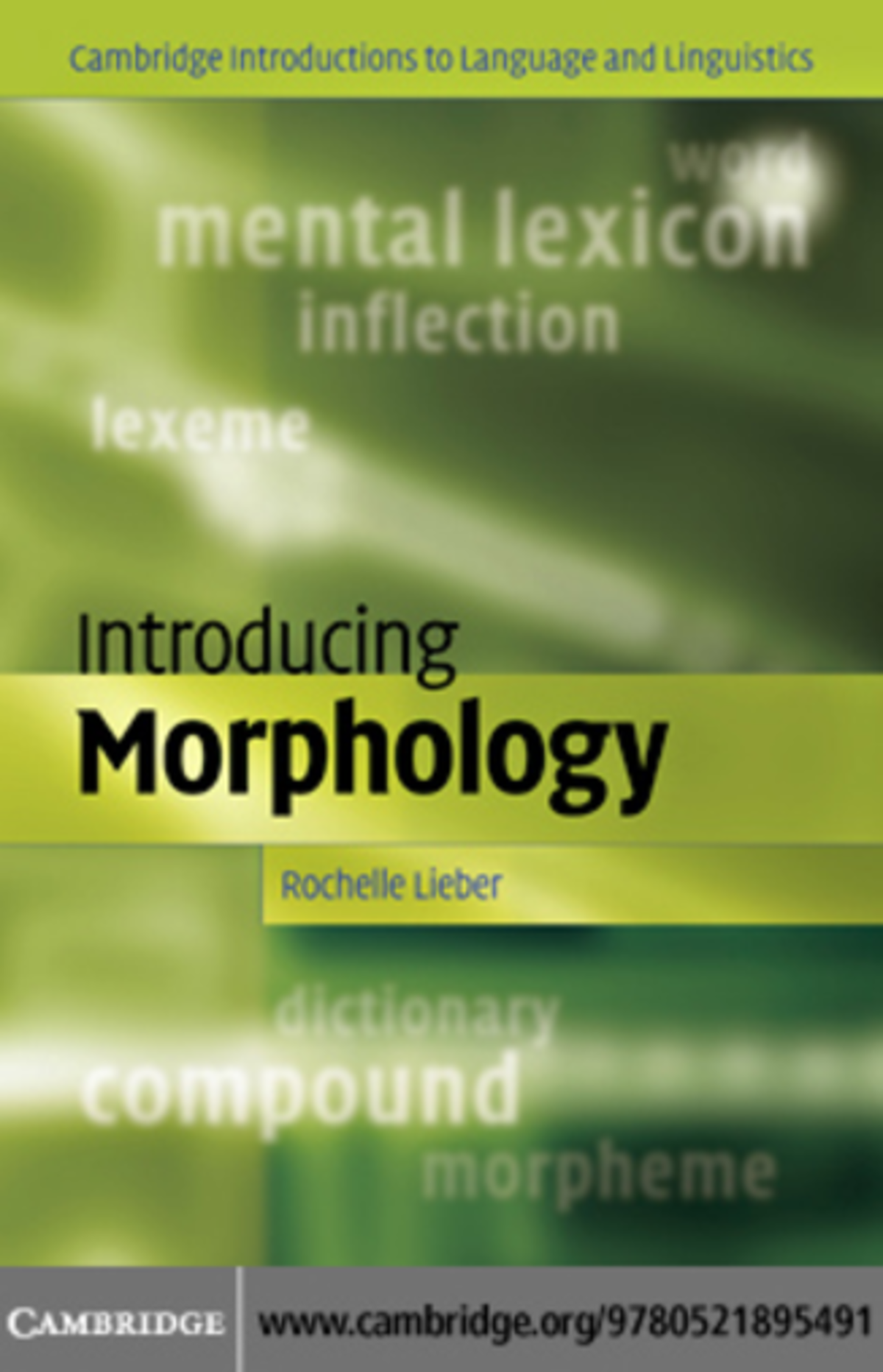Introduction to Morphology: A Beginner's Guide to Linguistics (ENG 101 ...