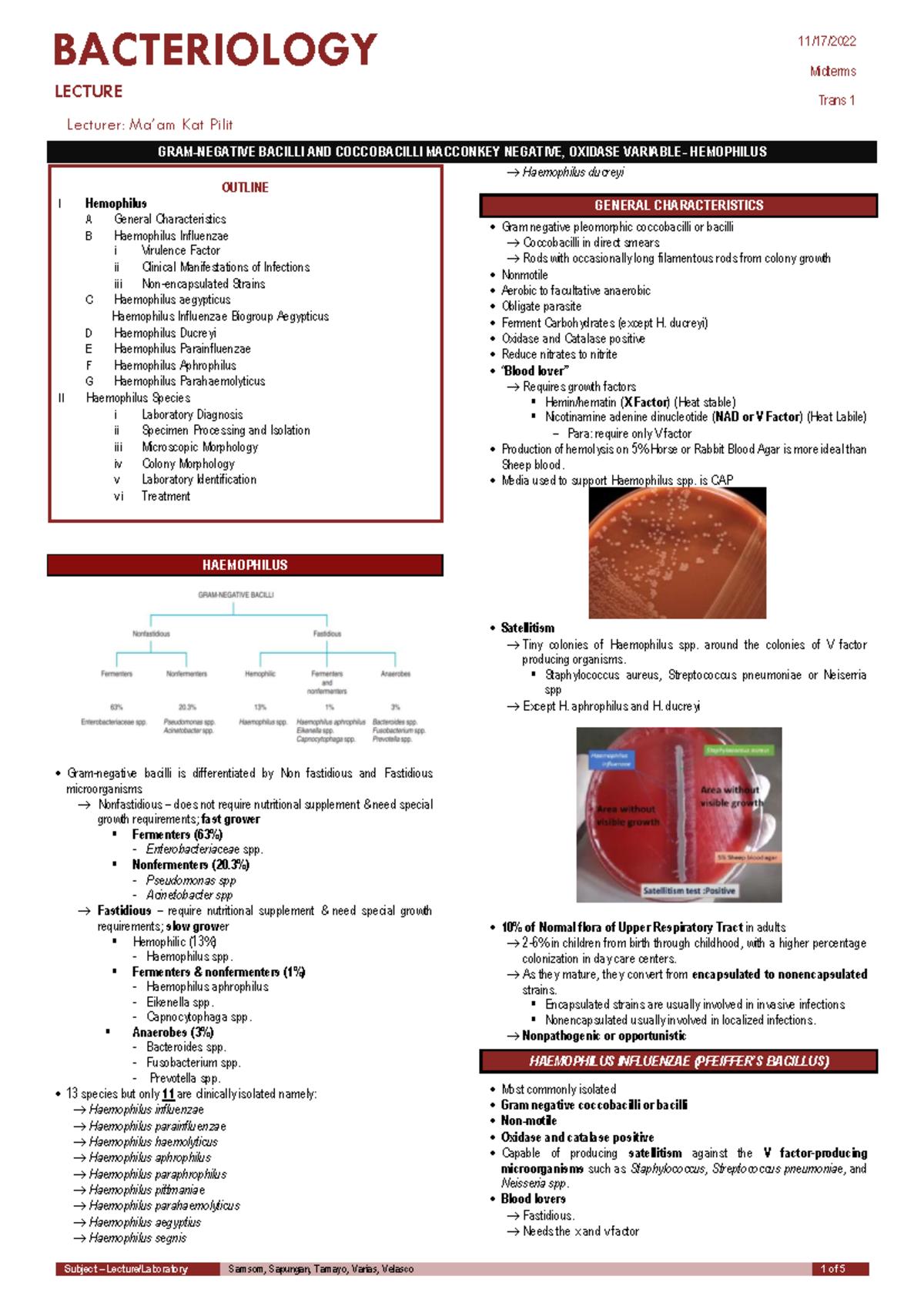 Gram-Negative Bacilli and Coccobacilli Mac Conkey Negative, Oxidase ...