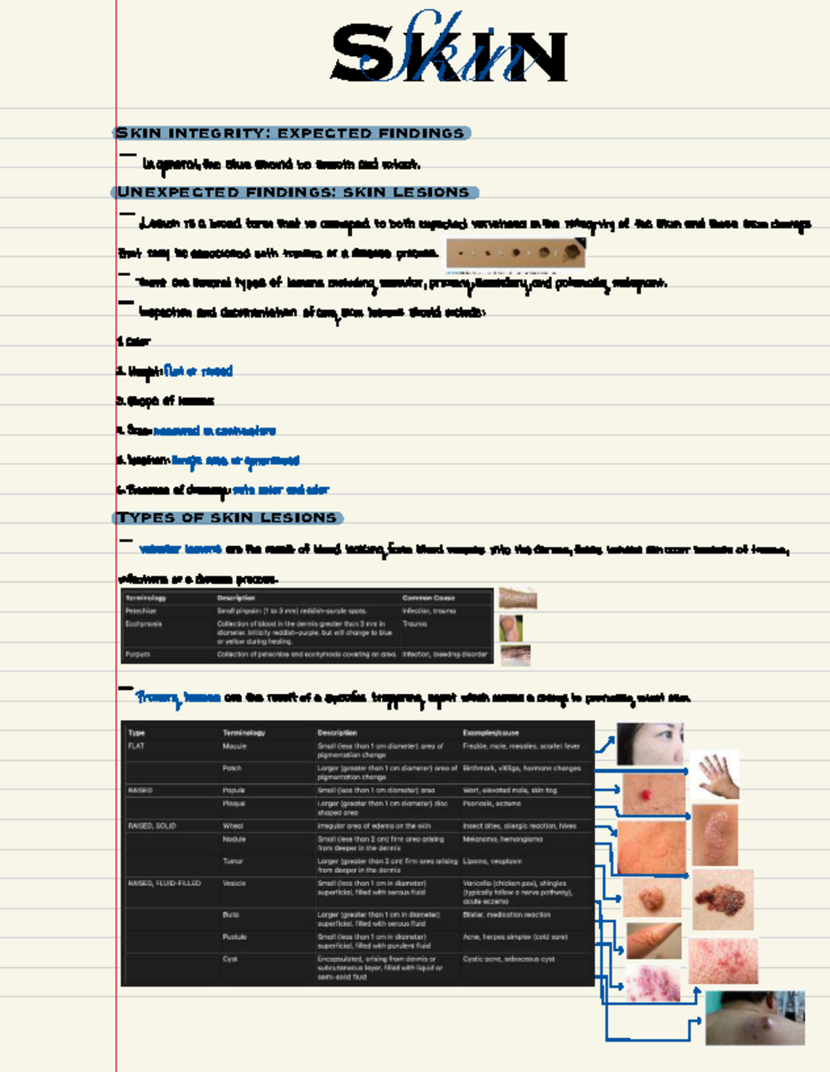 Skin Integrity Assessment: Expected and Unexpected Findings - SkinSkin ...