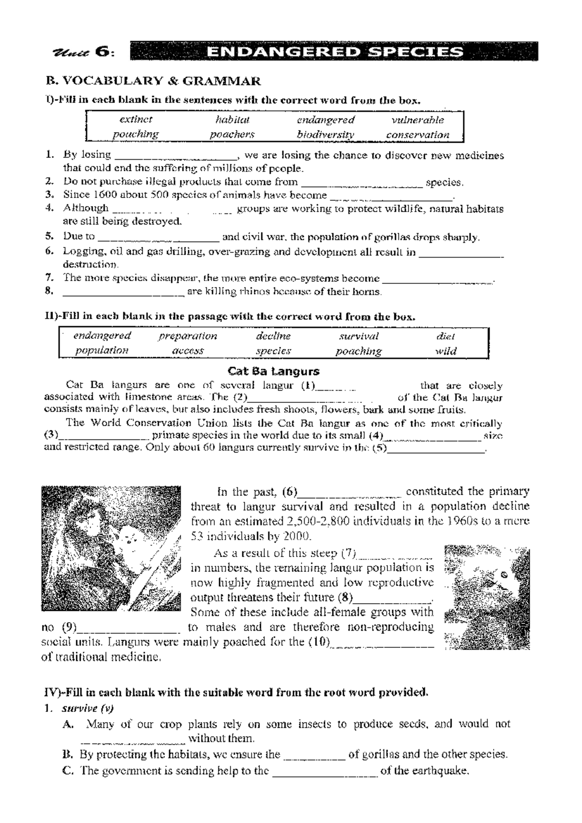 Unit 6: Endangered Species Vocabulary & Grammar Exercises for Grade 12 ...