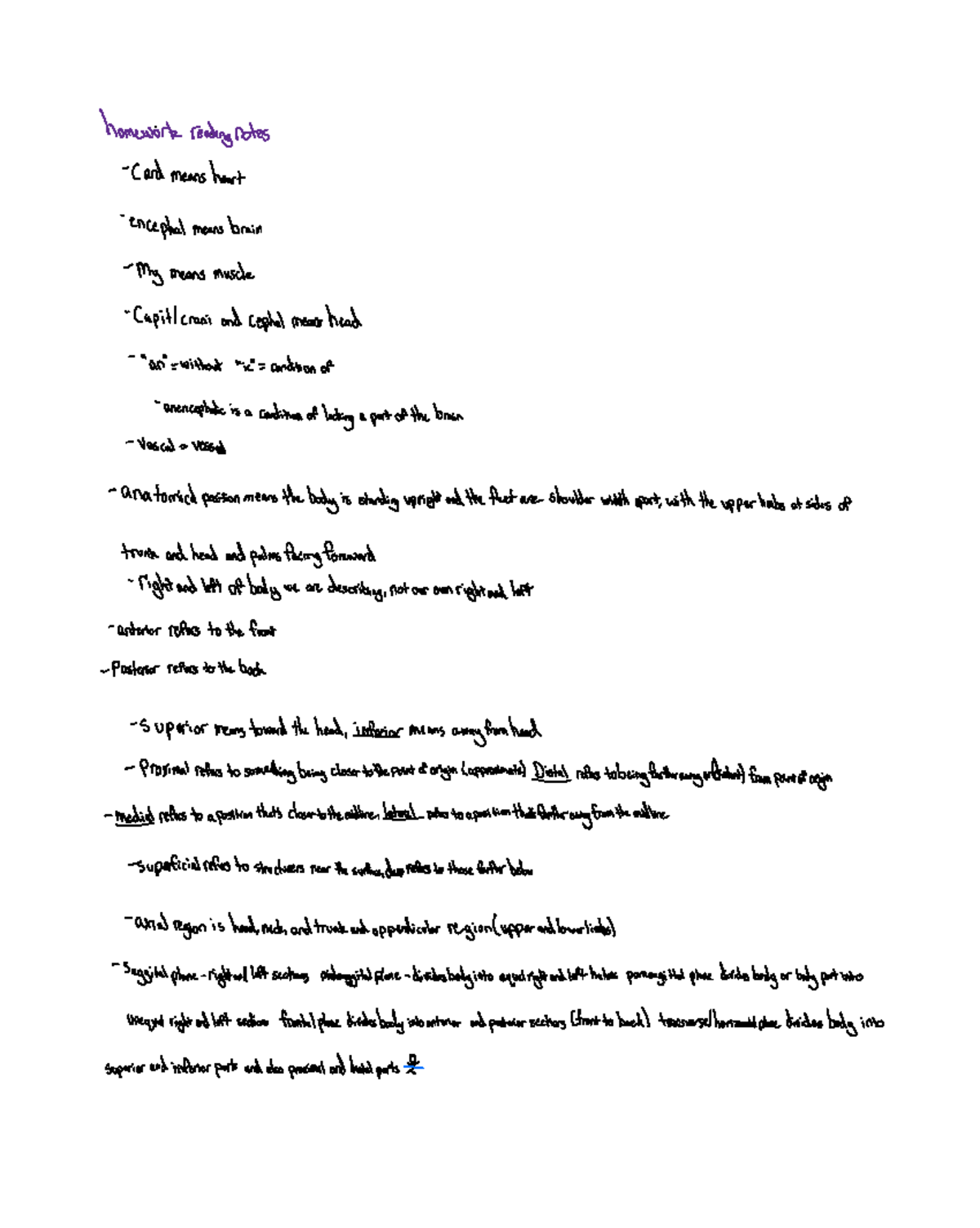 ABC123 Final Exam: Key Findings on Anatomical Terminology and Concepts ...