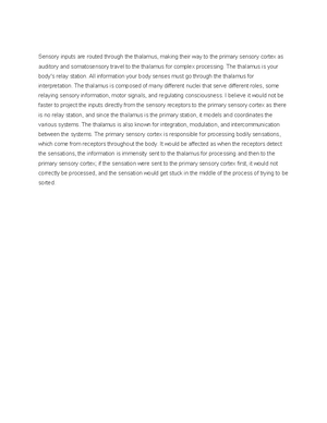 Week 5 PSY-402 Benchmark Memory and Brain Mechanisms - Benchmark: Memory and Brain Mechanisms ...