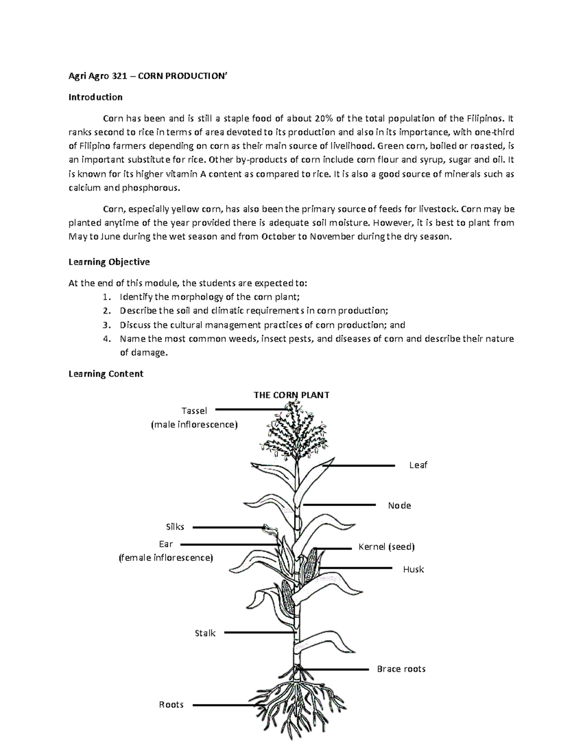 Agri Agro 321 - Module on Corn Production: Cultivation & Management ...