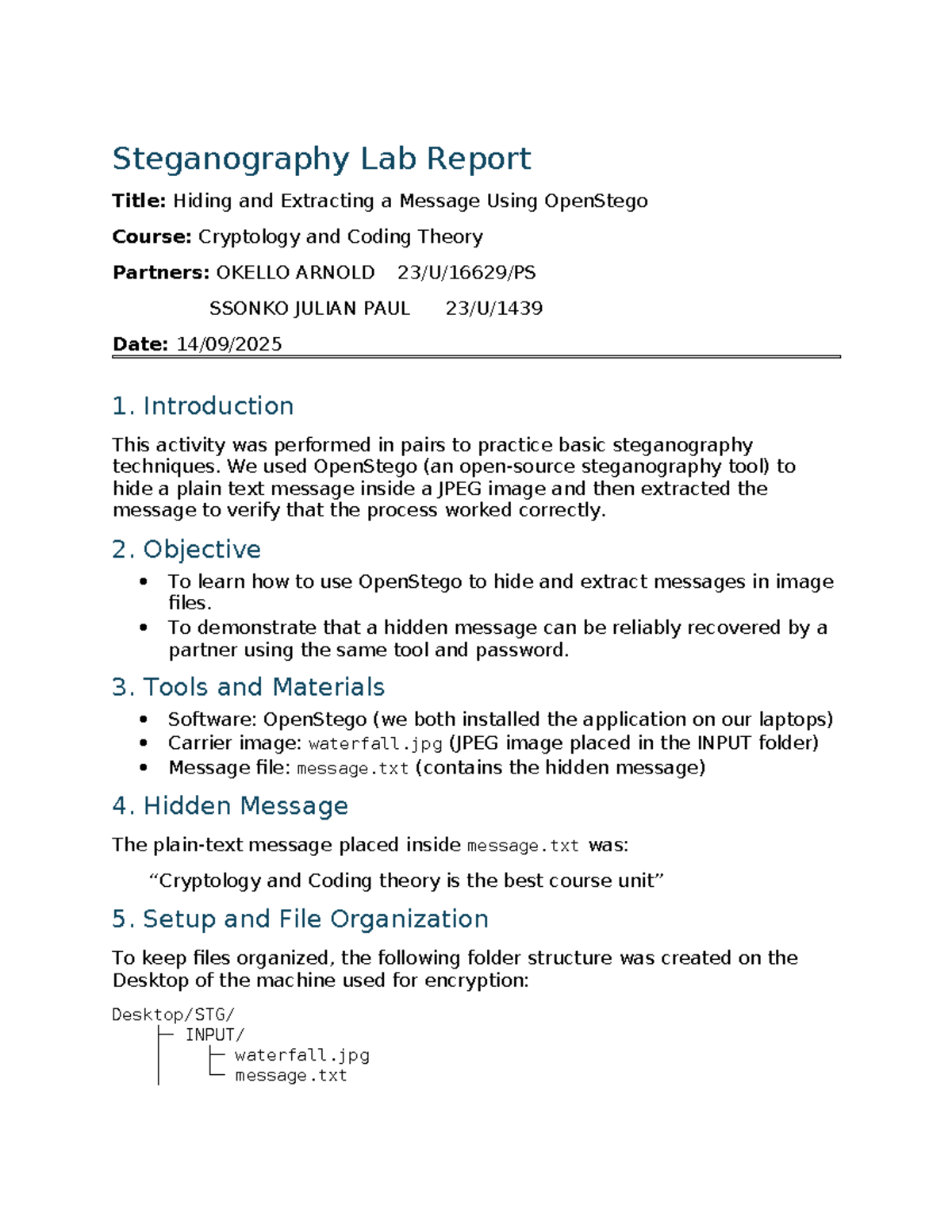 Steganography Lab Report: Hiding & Extracting Messages with OpenStego - Studocu