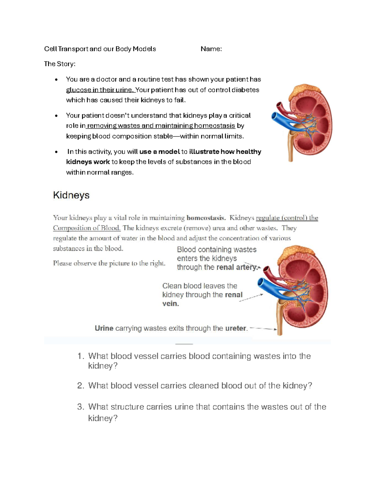 Cell Transport & Kidney Function: A Model Study (BIO 101) - Studocu