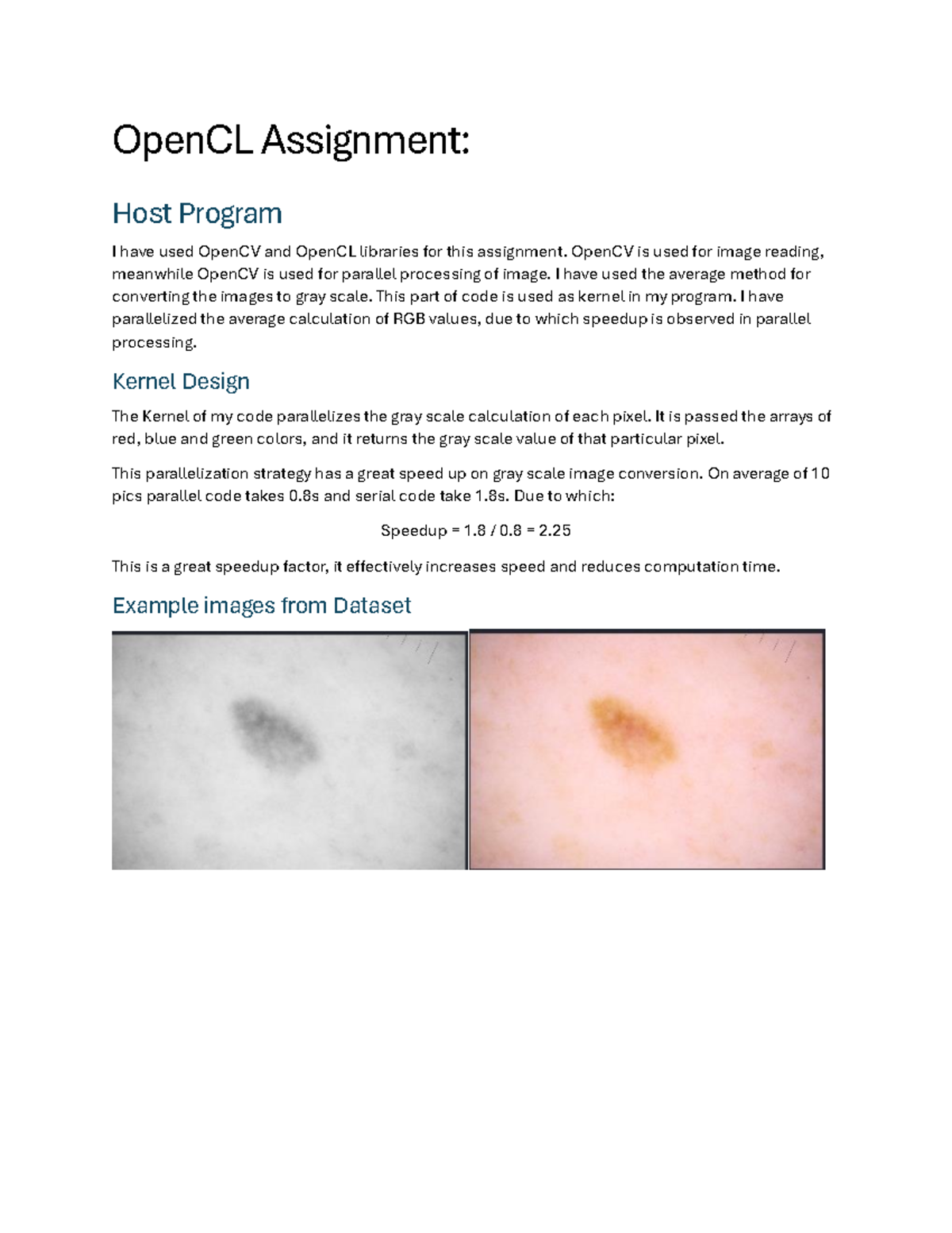 OpenCL Assignment: Efficient Image Processing with OpenCV - Studocu
