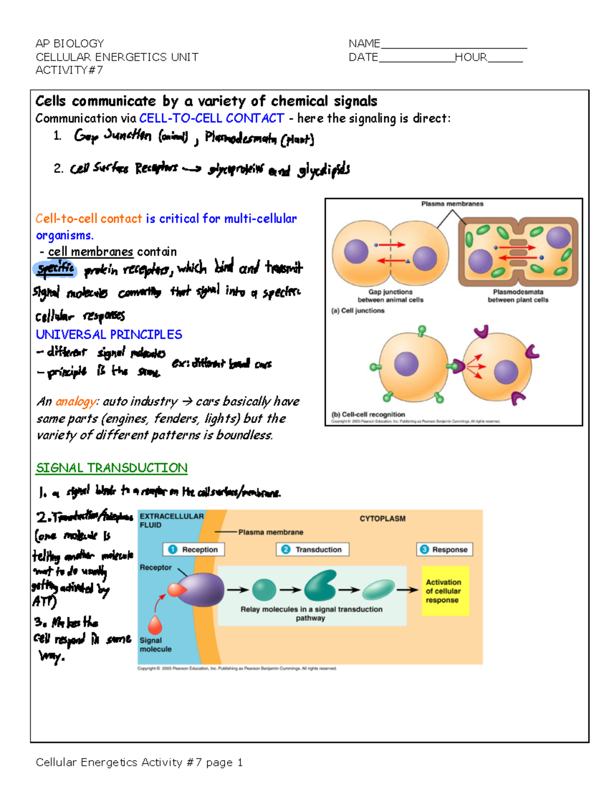 AP BIO 2023 Cell Communication Lecture Notes and Concepts - Studocu