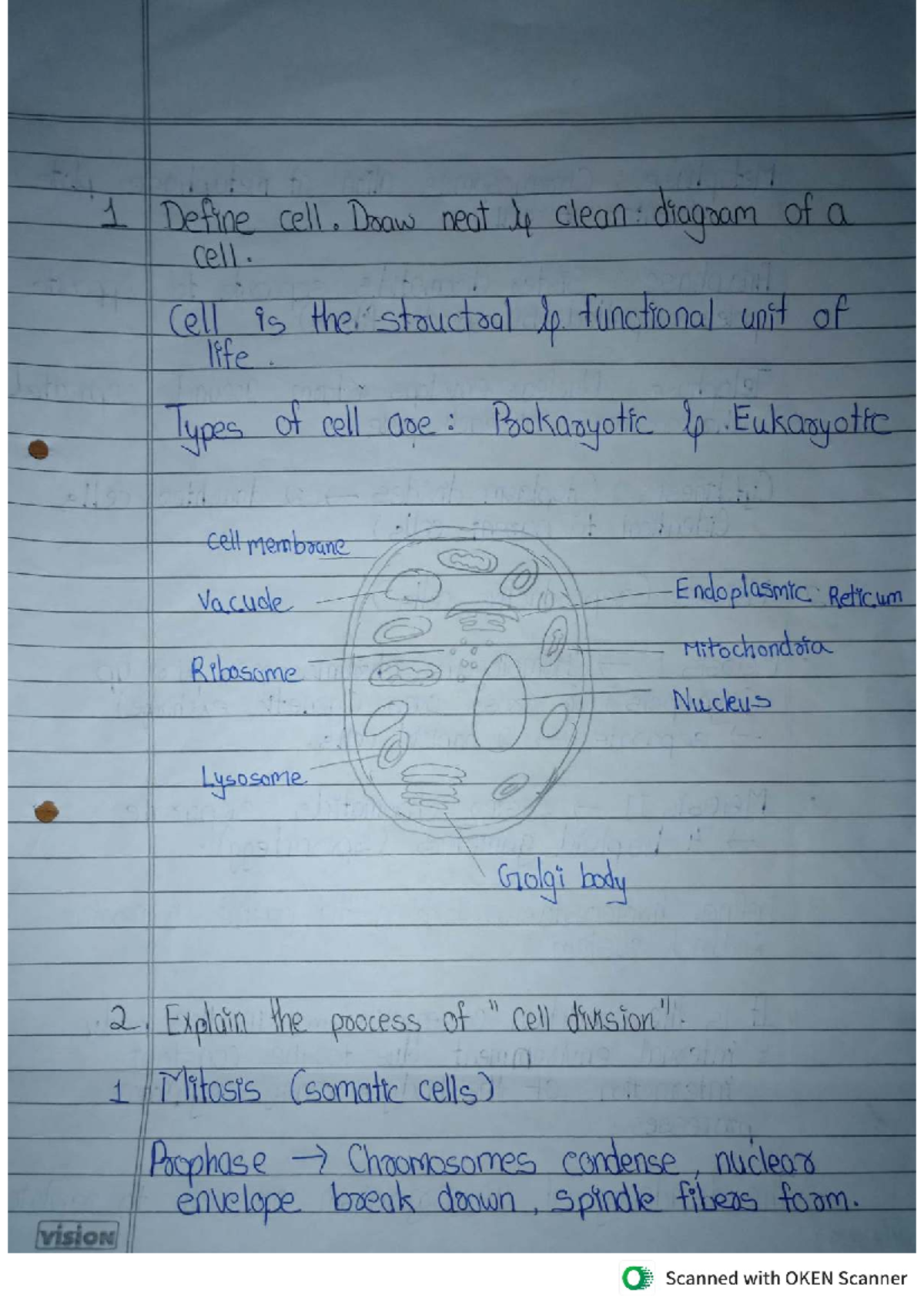 Human Anatomy and Physiology: Cell Structure, Function, and Tissue ...