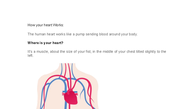 How Your Heart Works: Unit 6 Overview of Heart Function and Anatomy ...