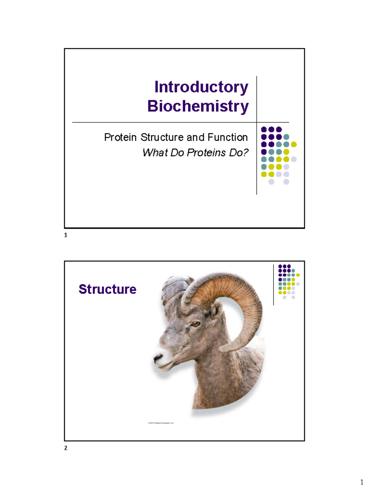 Introductory Biochemistry (3A): Protein Structure & Function Overview ...