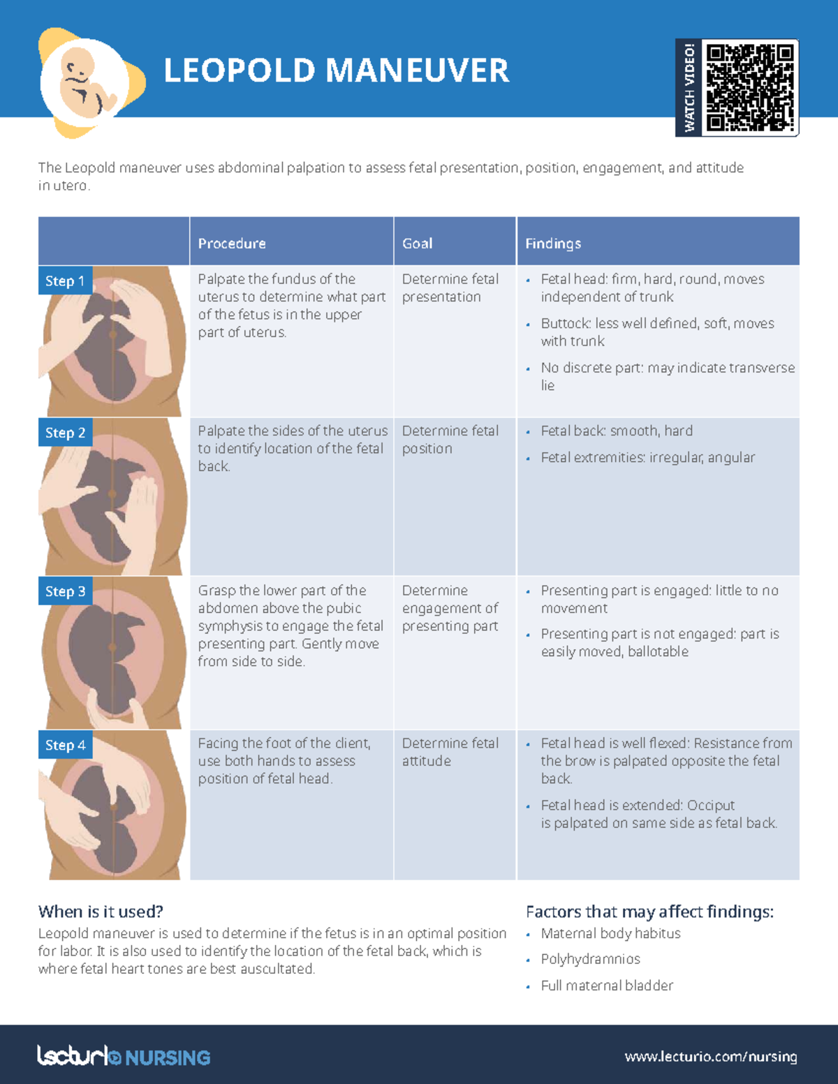 Leopold Maneuver: Abdominal Palpation for Fetal Assessment - Studocu