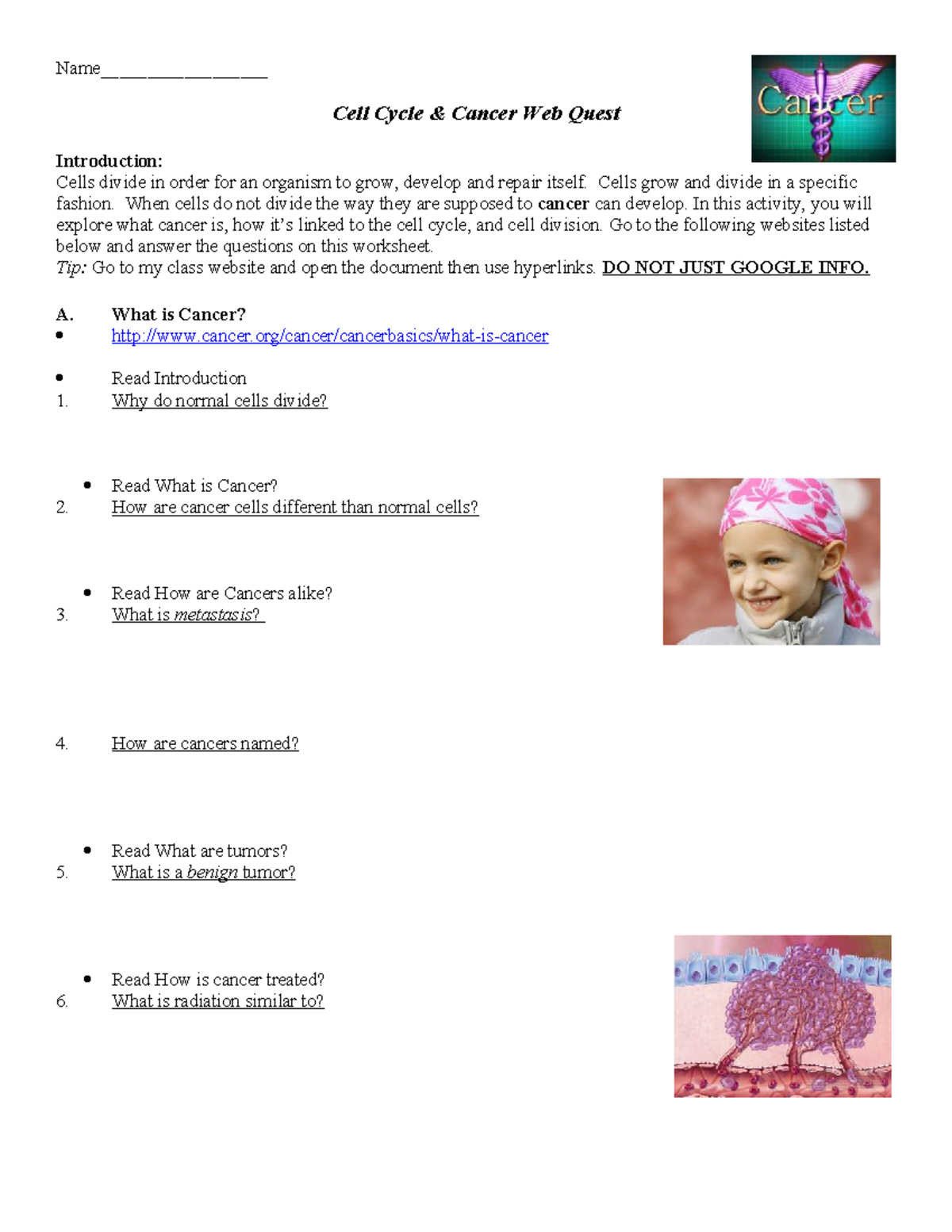 Cell Cycle & Cancer Web Quest: Exploring Cell Division & Risks - Studocu