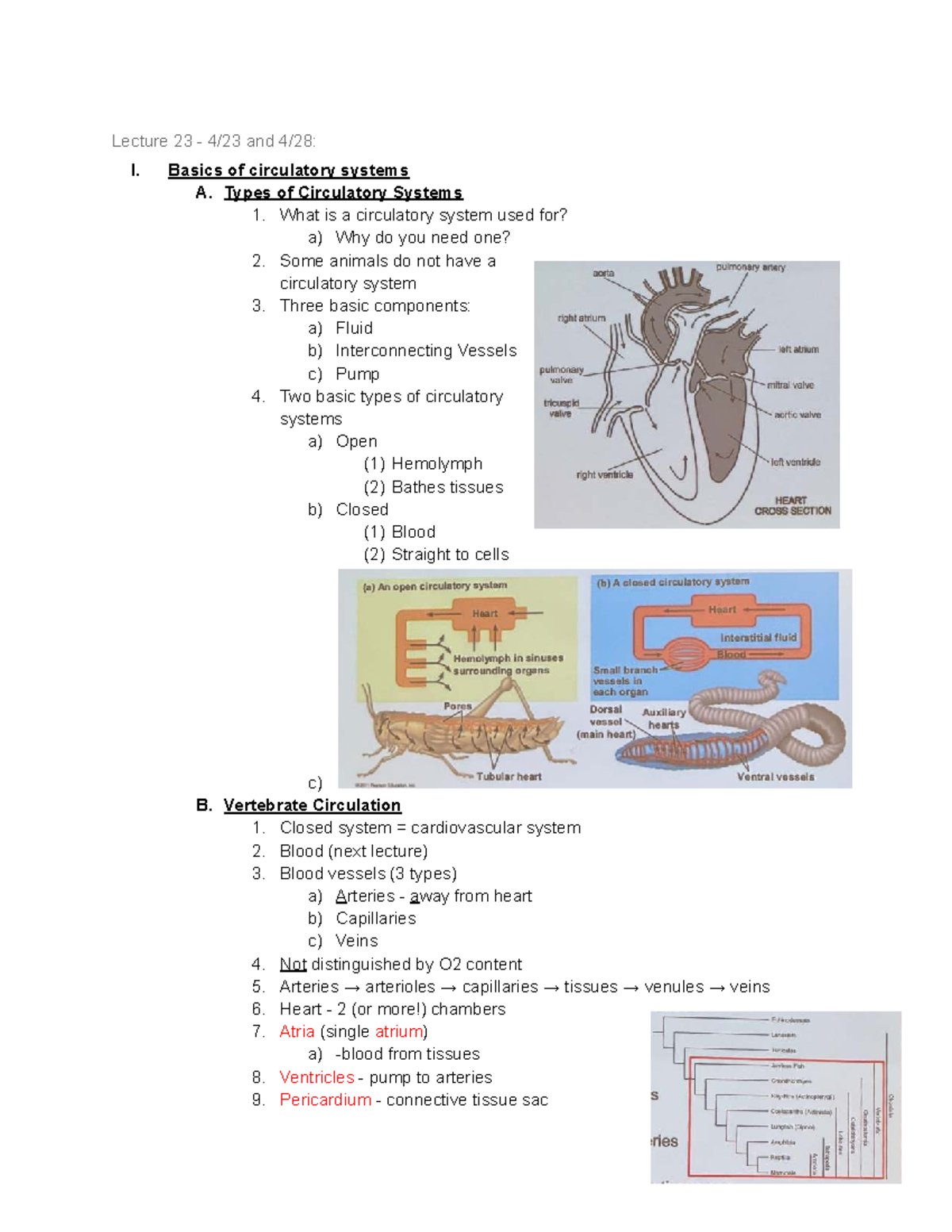 Bio 2 Lec 23 - Circulatory Systems Overview and Key Concepts - Studocu