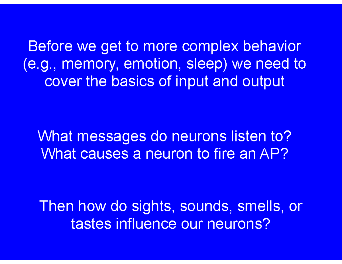 Visual Processing: Understanding the Retina & Visual Cortex (PSY 101 ...