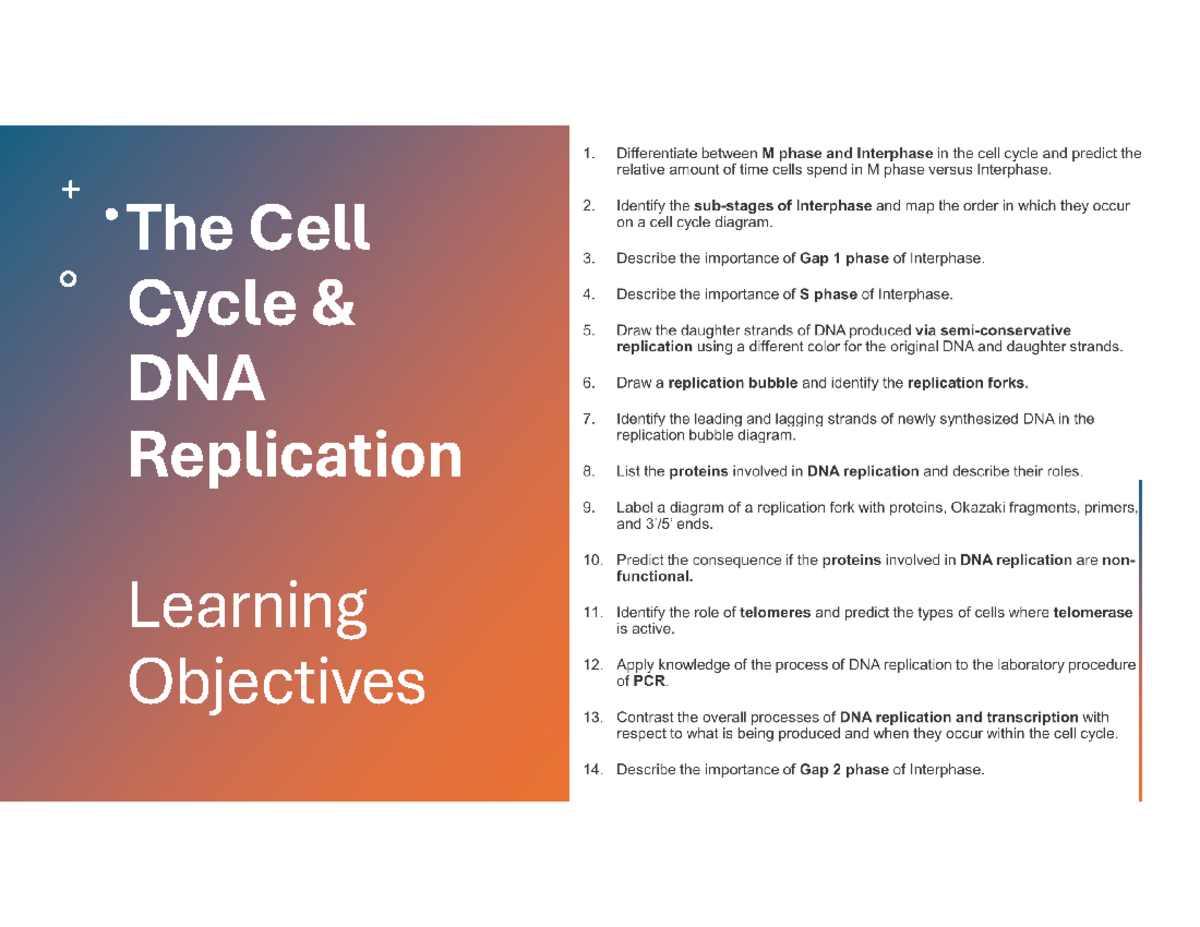 Lecture on Cell Cycle & DNA Replication - Studocu