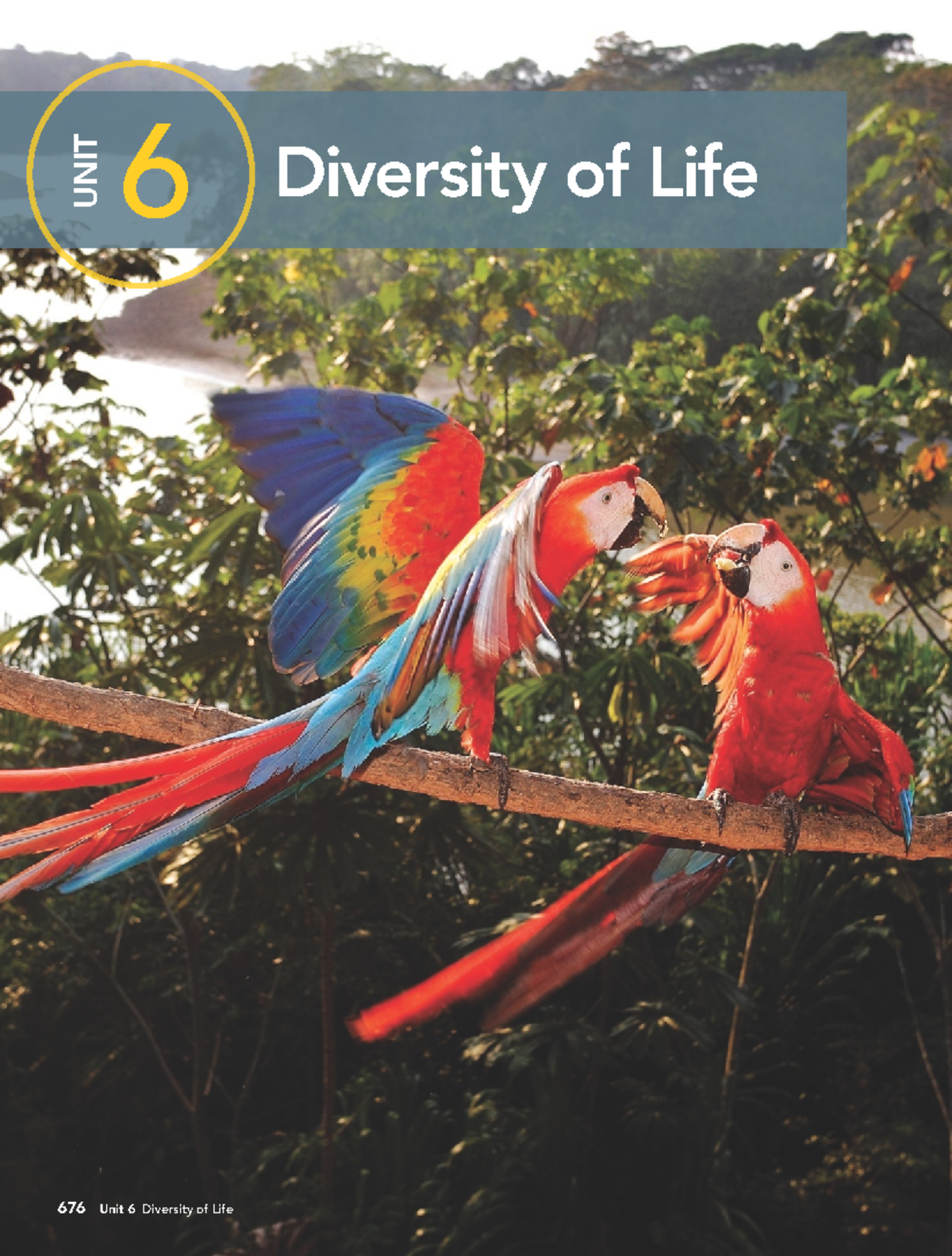 NA MLBio Ch21 - Diversity of Life: Viruses, Prokaryotes, and Fungi ...