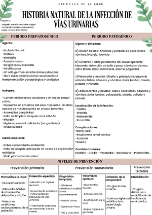 Inj - Hhhkk - INJERTO Síntomas Existen dos tipos de EICH: aguda y ...