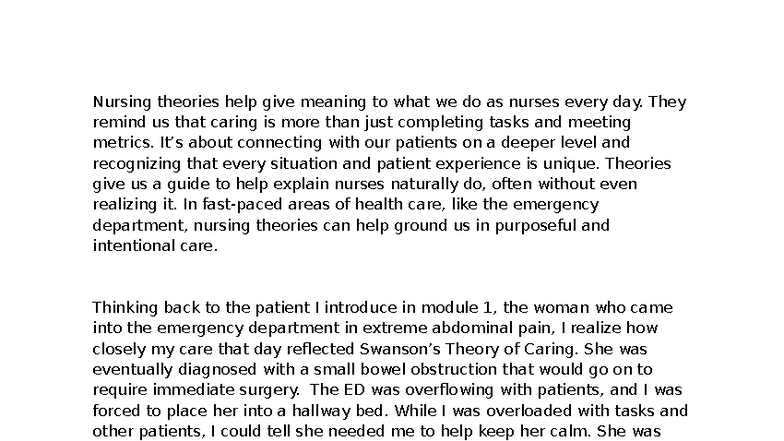 NUR 302: Care Dialogue 2 - Applying Nursing Theories in Practice - Studocu