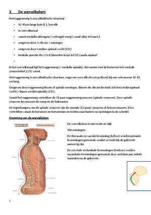 [Solved] wat is het periost van het beenweefsel - Anatomie en ...