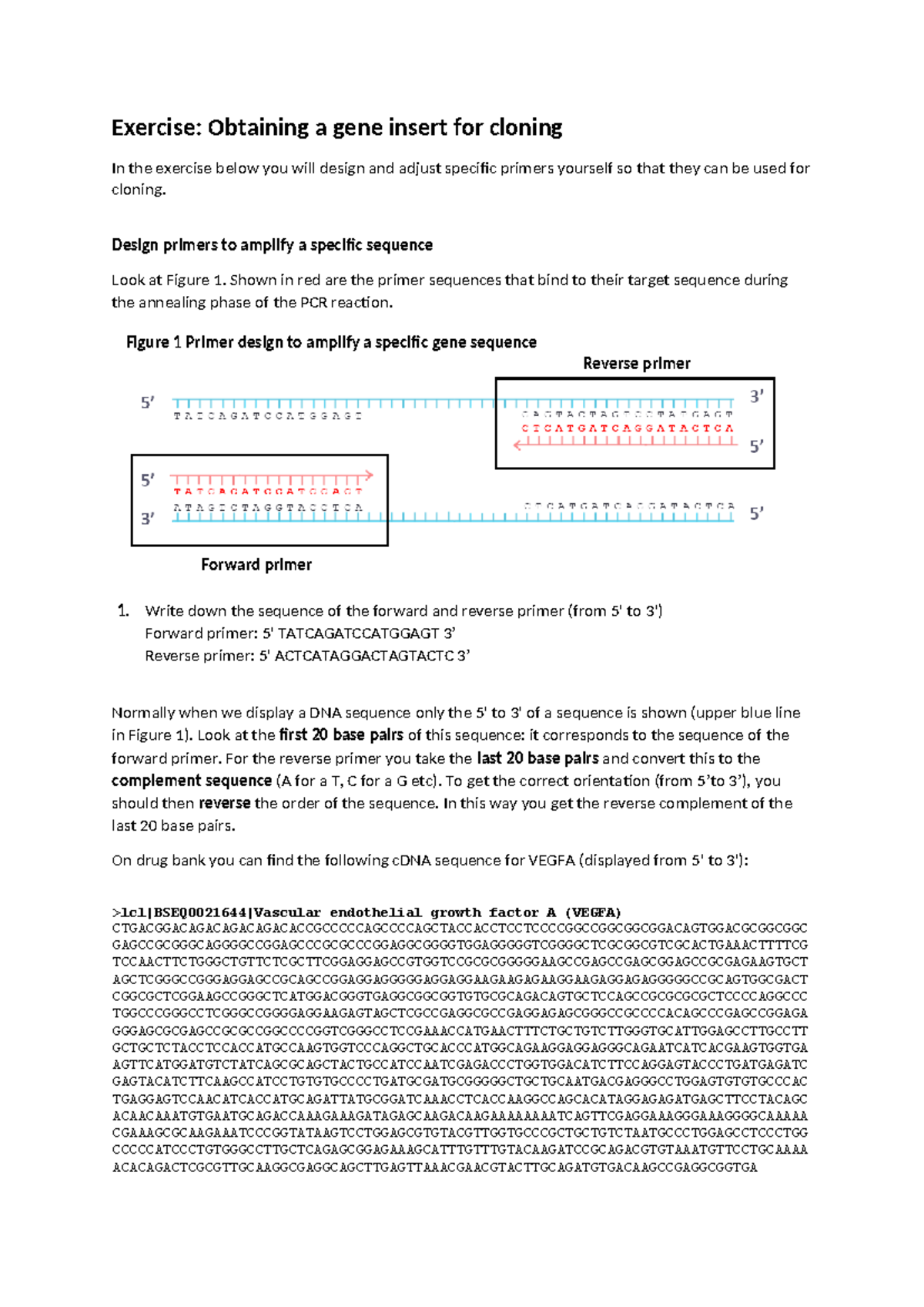 Exercise: PCR and Cloning Techniques for Gene Insert Design - Studeersnel