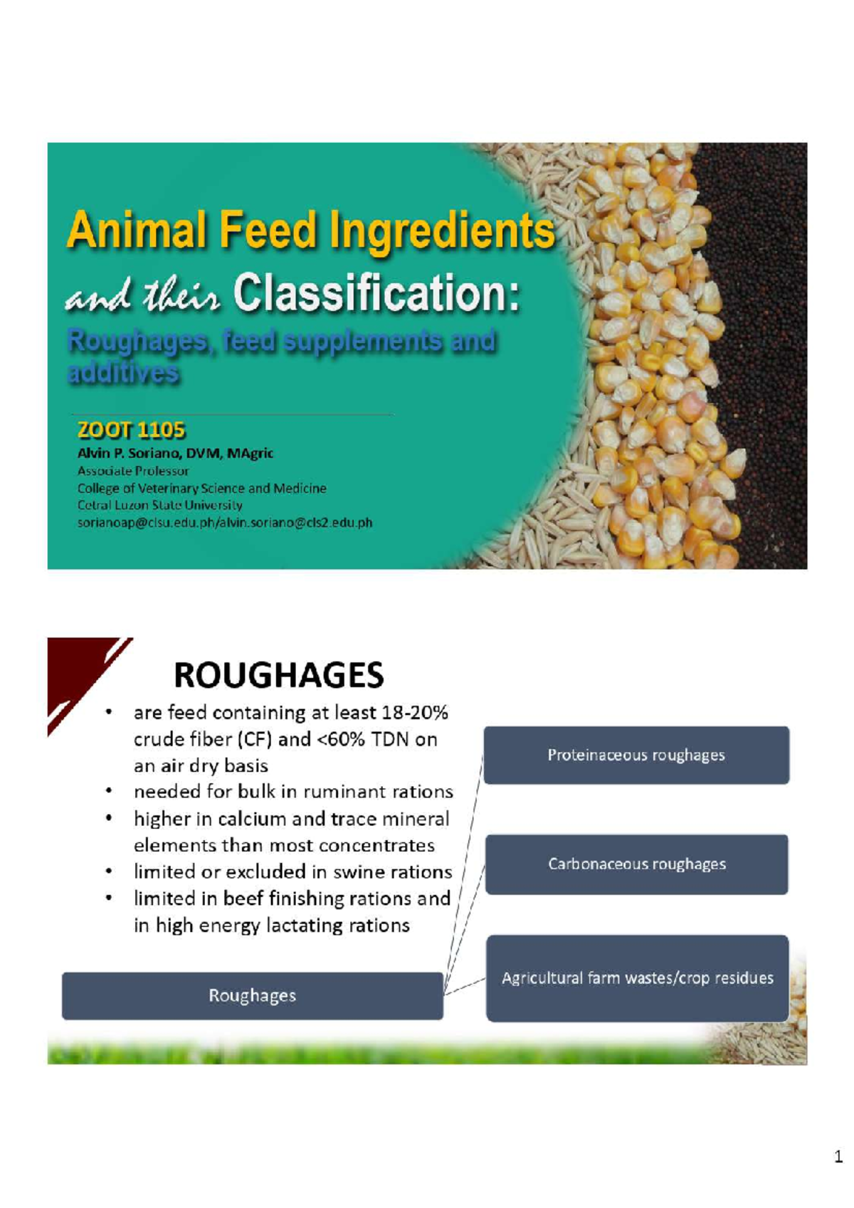 Feed Ingredients Classification: Part 2 Overview - Studocu