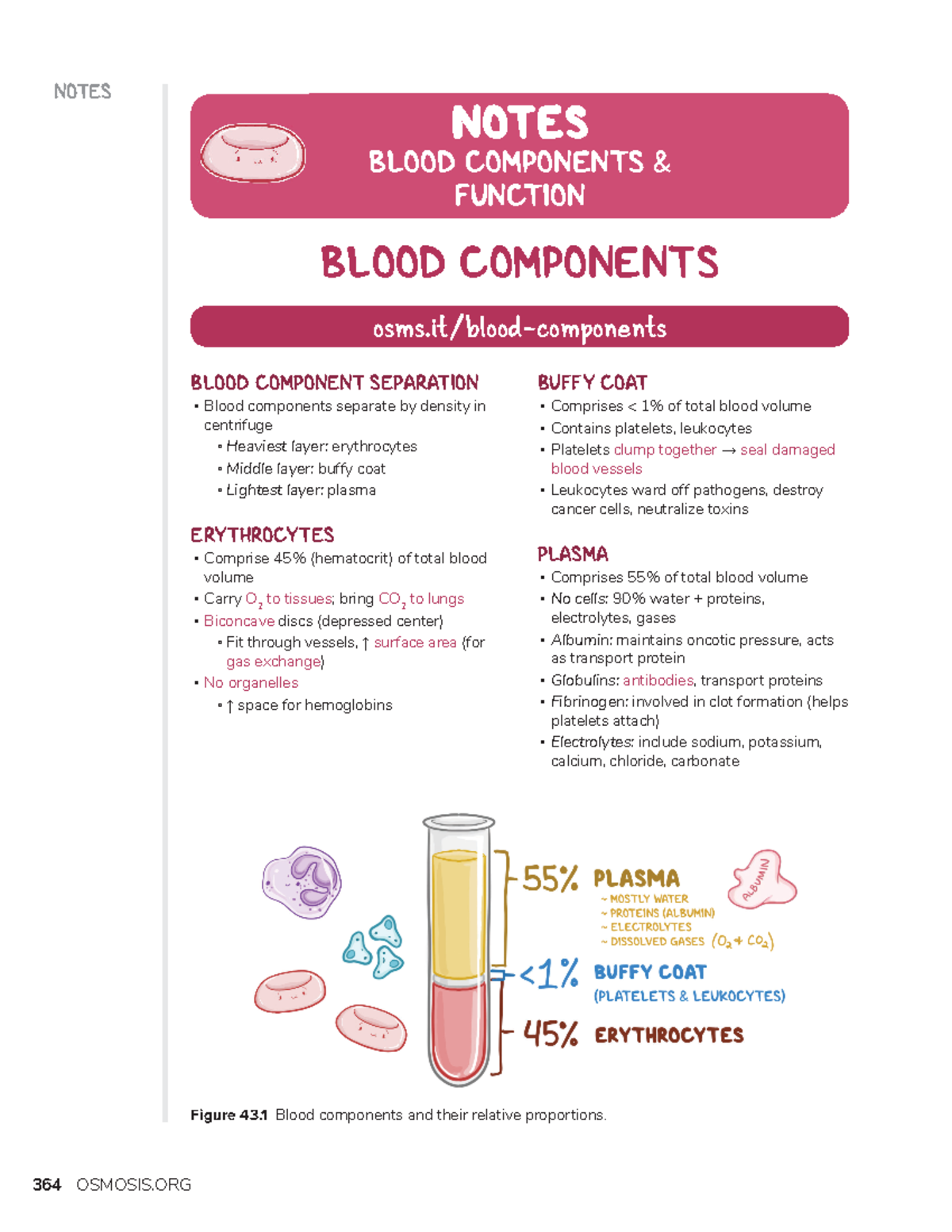 Hematology Chapter 43: Blood Components & Functions Overview - Studocu