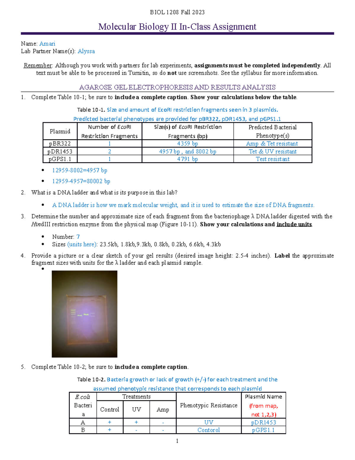 Molecular Biology II BIOL 1208 In-Class Assignment Overview - Studocu