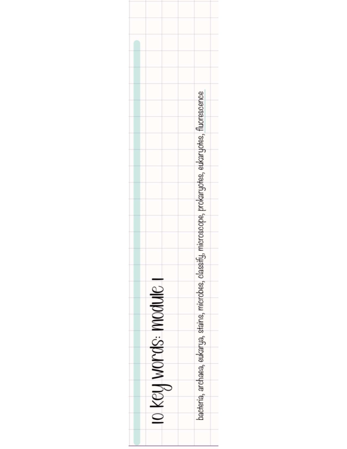 Module 1- 10 Key words - Bmsc 210.3 - 10 key words: module_1 bacteria ...