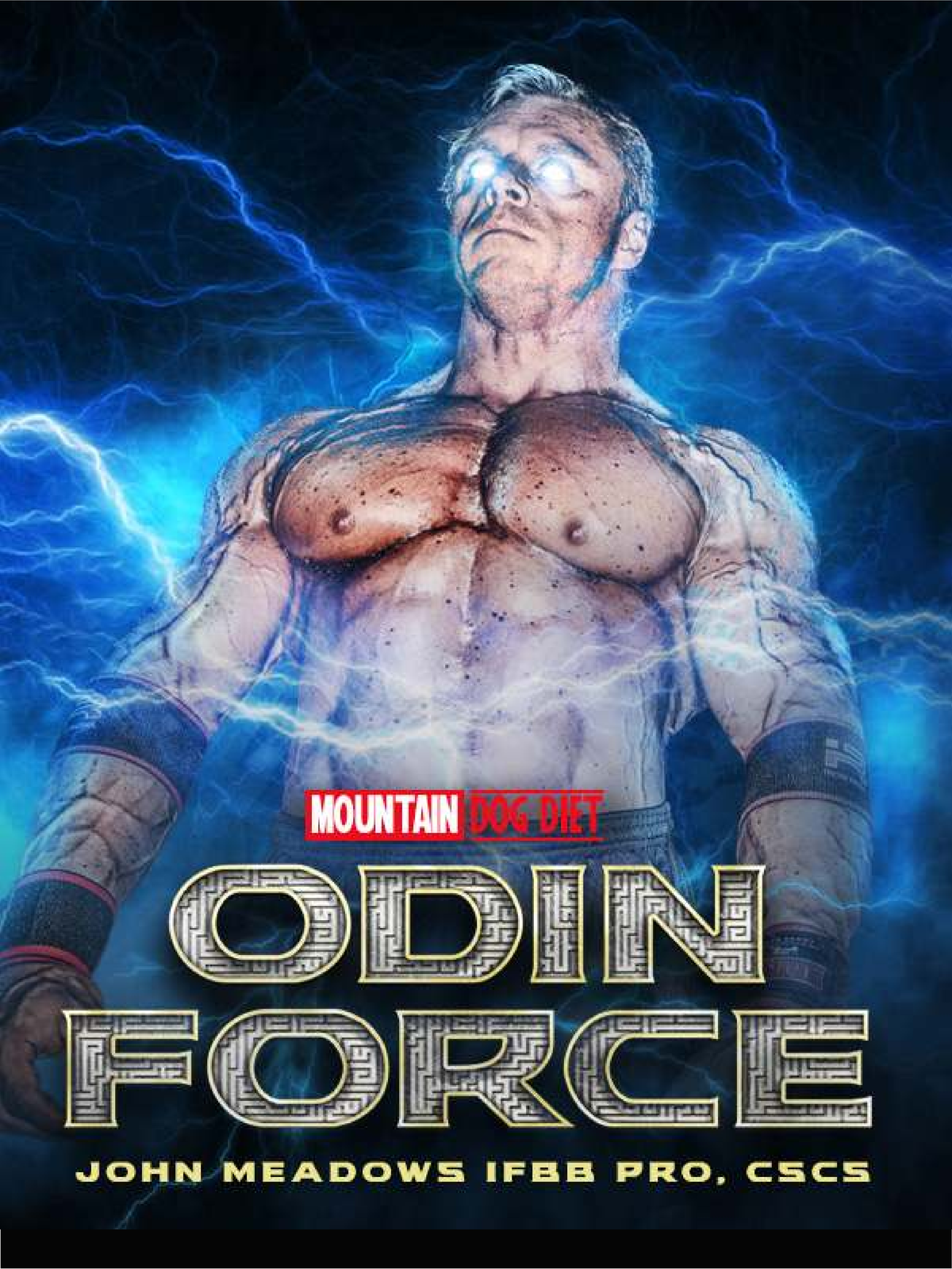 Odin Force: John Meadows Bodybuilding Program Overview and Guide - Studocu