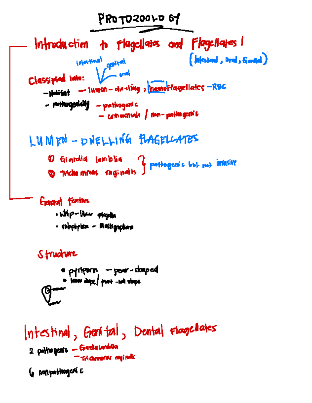 IOG - Parasitology Notes: Introduction to Flagellates and Their ...