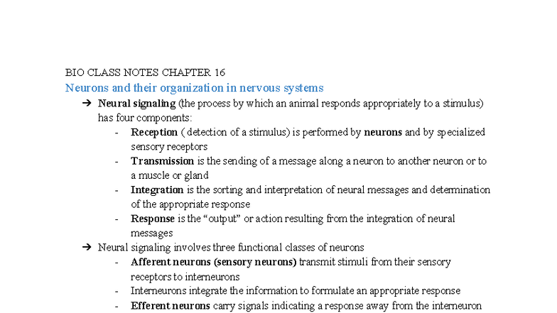 BIO 101 LECTURE NOTES: Neurons, Action Potentials, and Synapses - Studocu