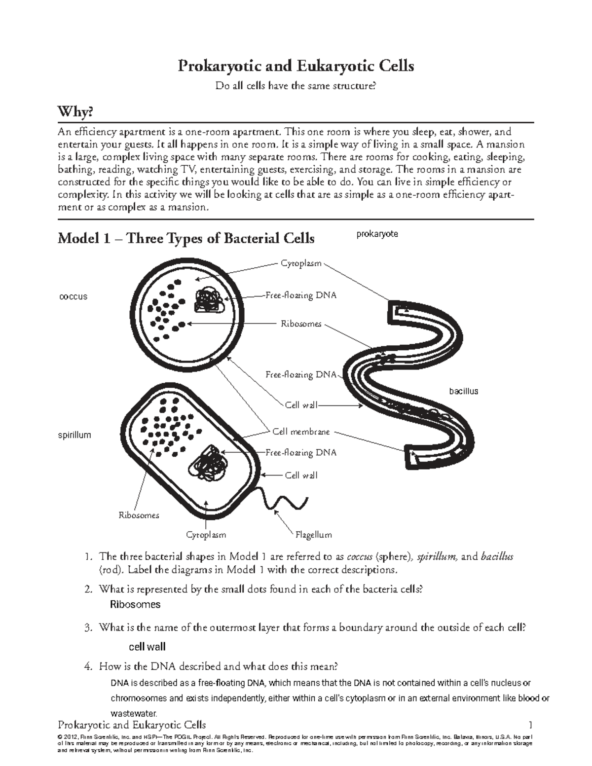 Prokaryotic vs. Eukaryotic Cells: Structure and Function Analysis - Studocu