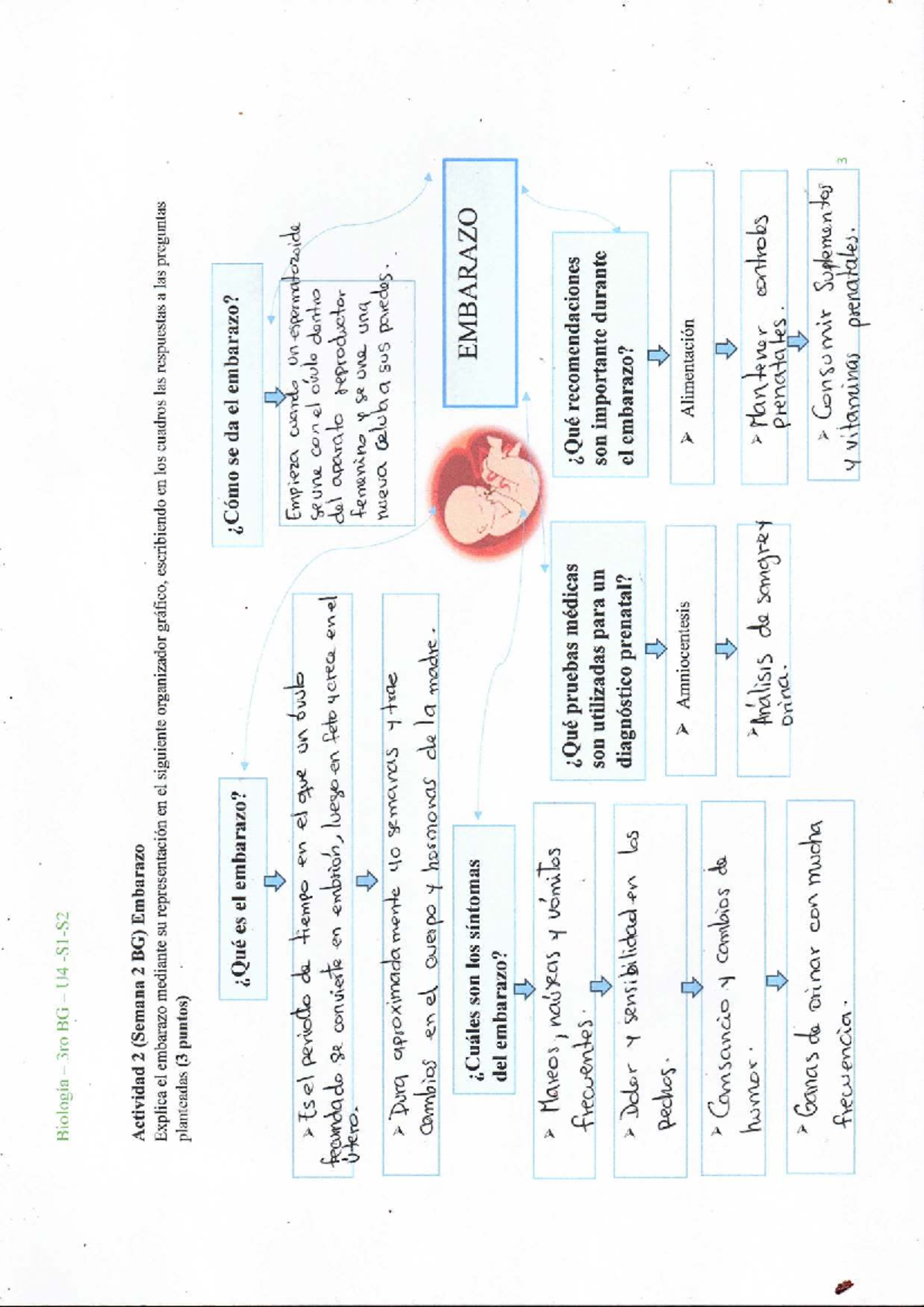 Biologia 32,22@ SOUIOLA 7 - Study Notes - Studocu