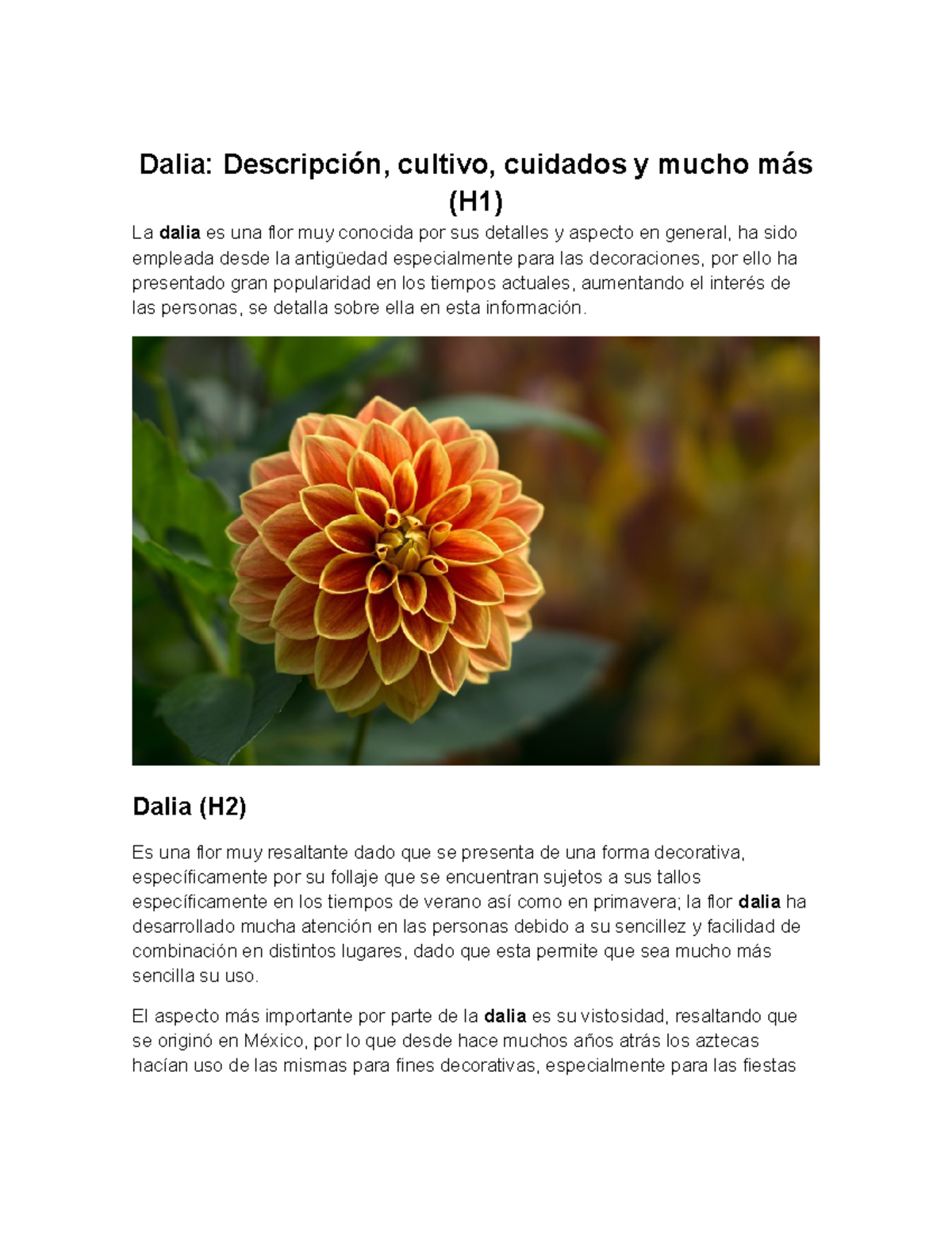 Dalia - Dalia (H2) Es una flor muy resaltante dado que se presenta de ...