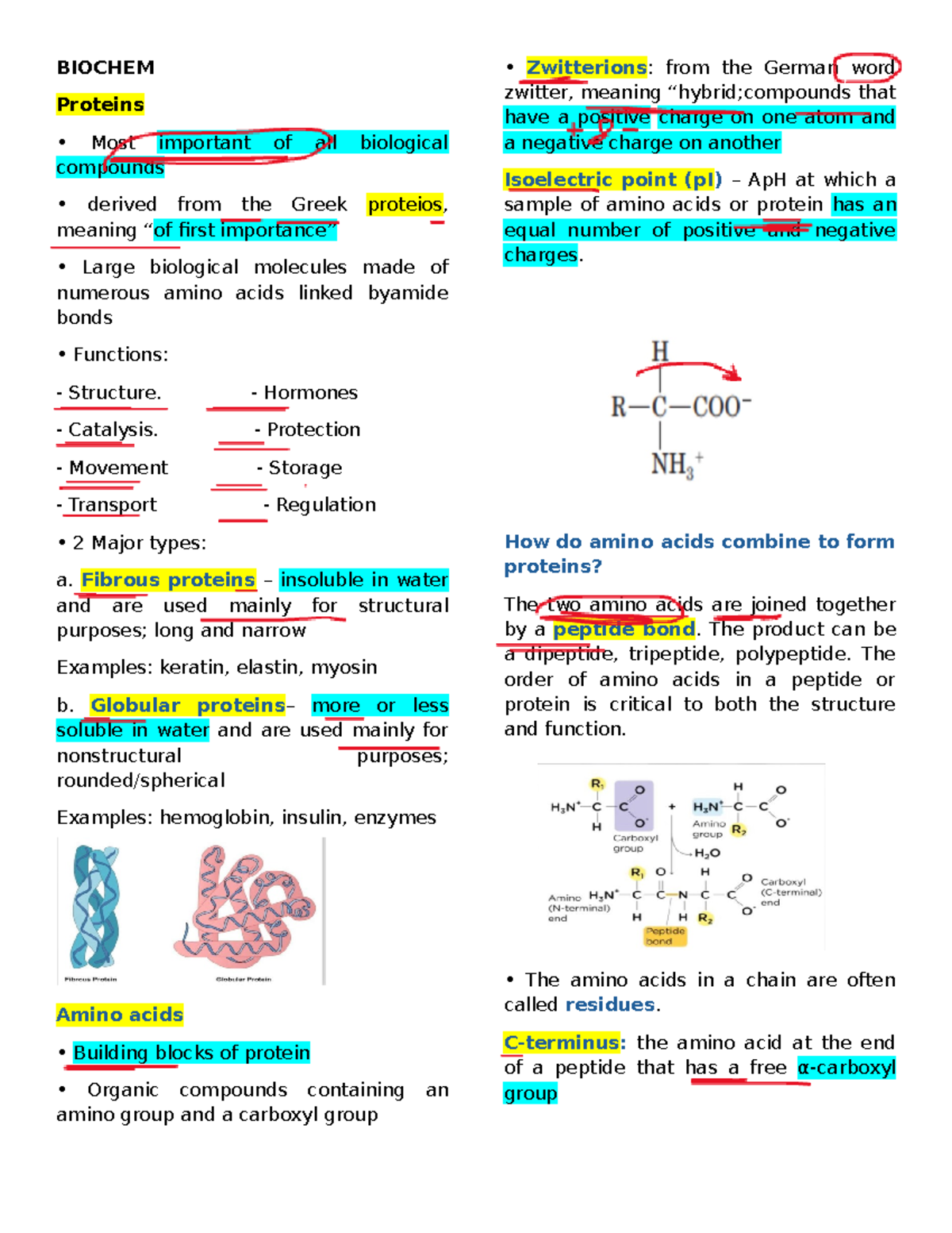 Biochem- Trans copy - BIOCHEM Proteins Most important of all biological ...