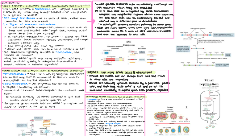 Ch9.2 Notes: Mobile Genetic Elements and Retrotransposons in Cells ...