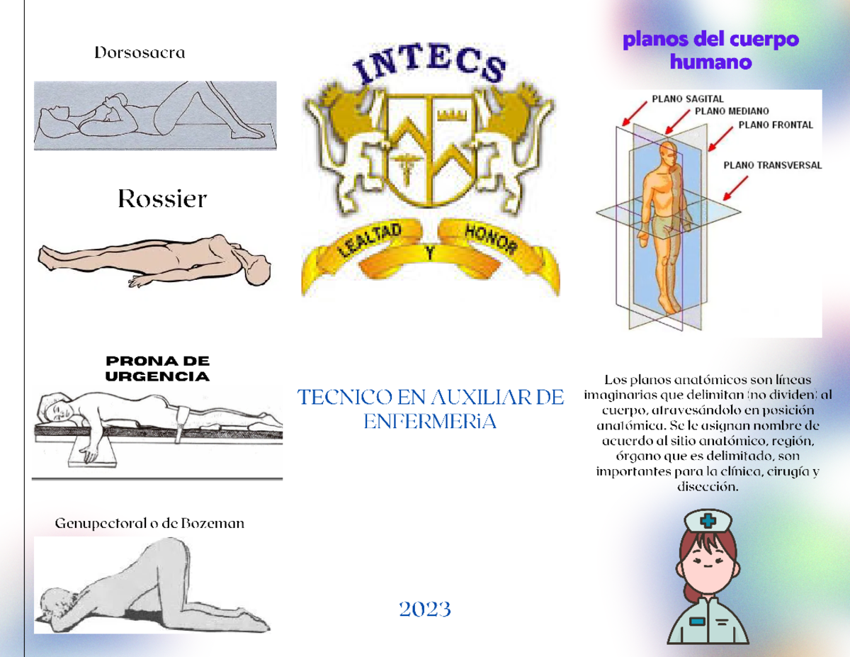 Folleto Posiciones Anatomicas - Administración de inventarios - planos del cuerpo Dorsosacra ...