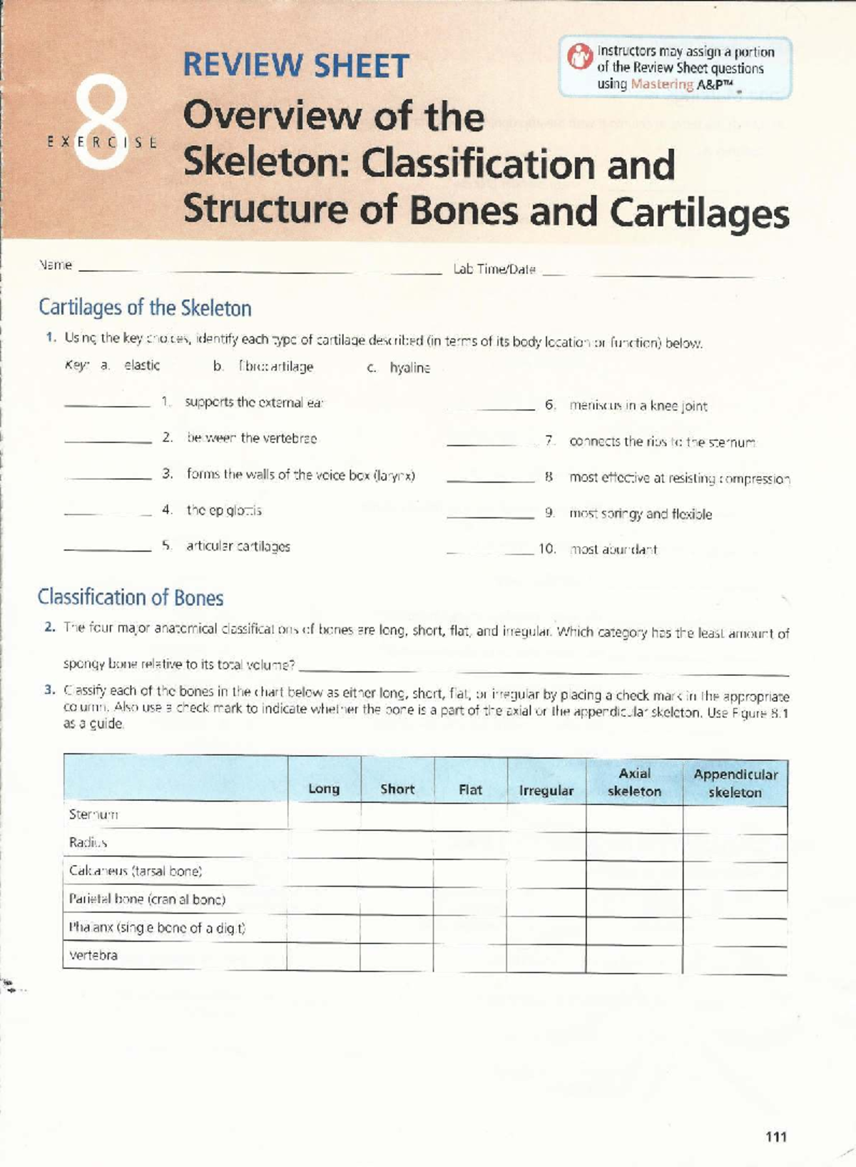 AP - Lab Ex. 08 Review Sheet: Classification & Structure of Bones - Studocu