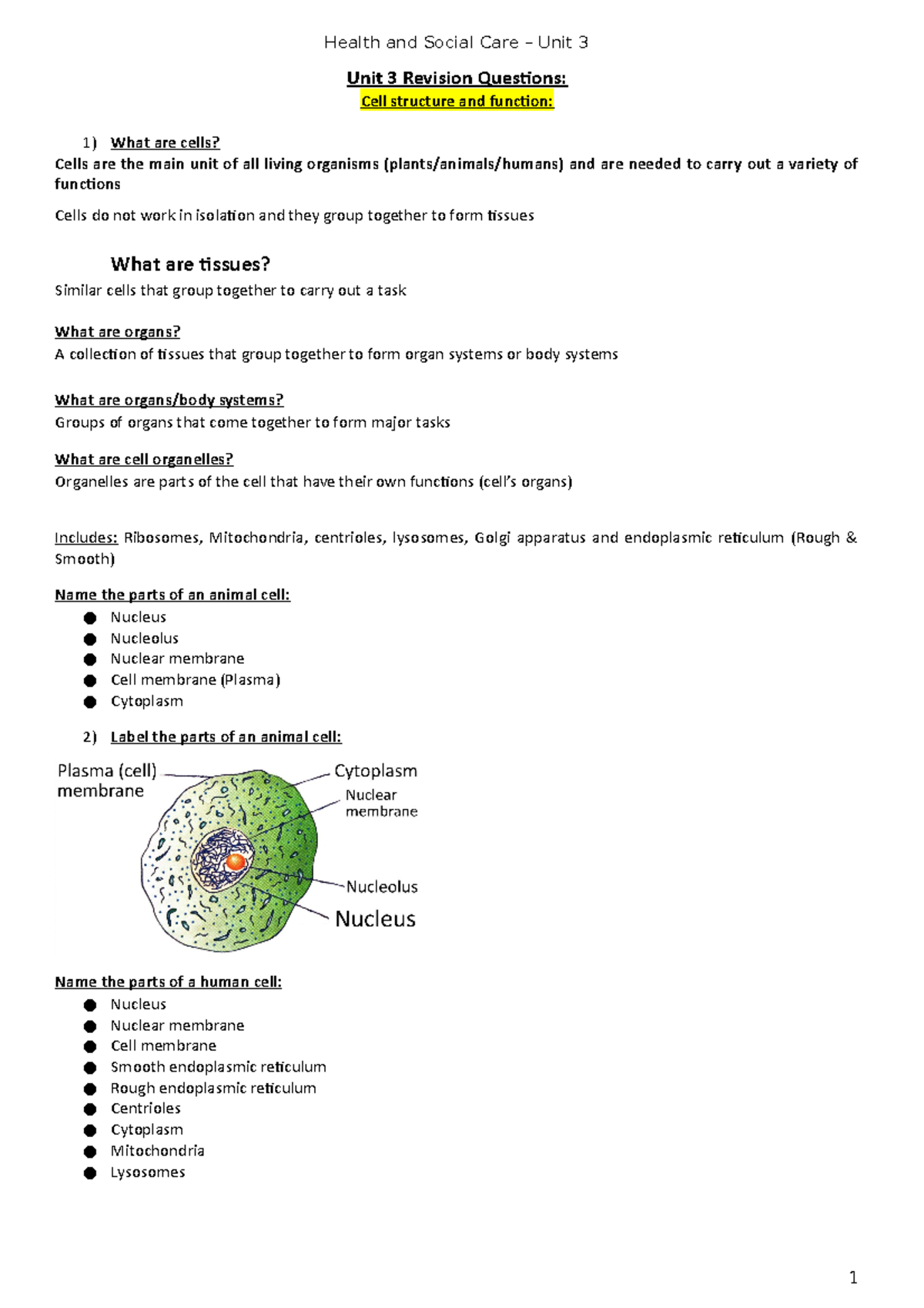Unit 3 Revision Questions & Answers for Cell Structure & Function - Studocu