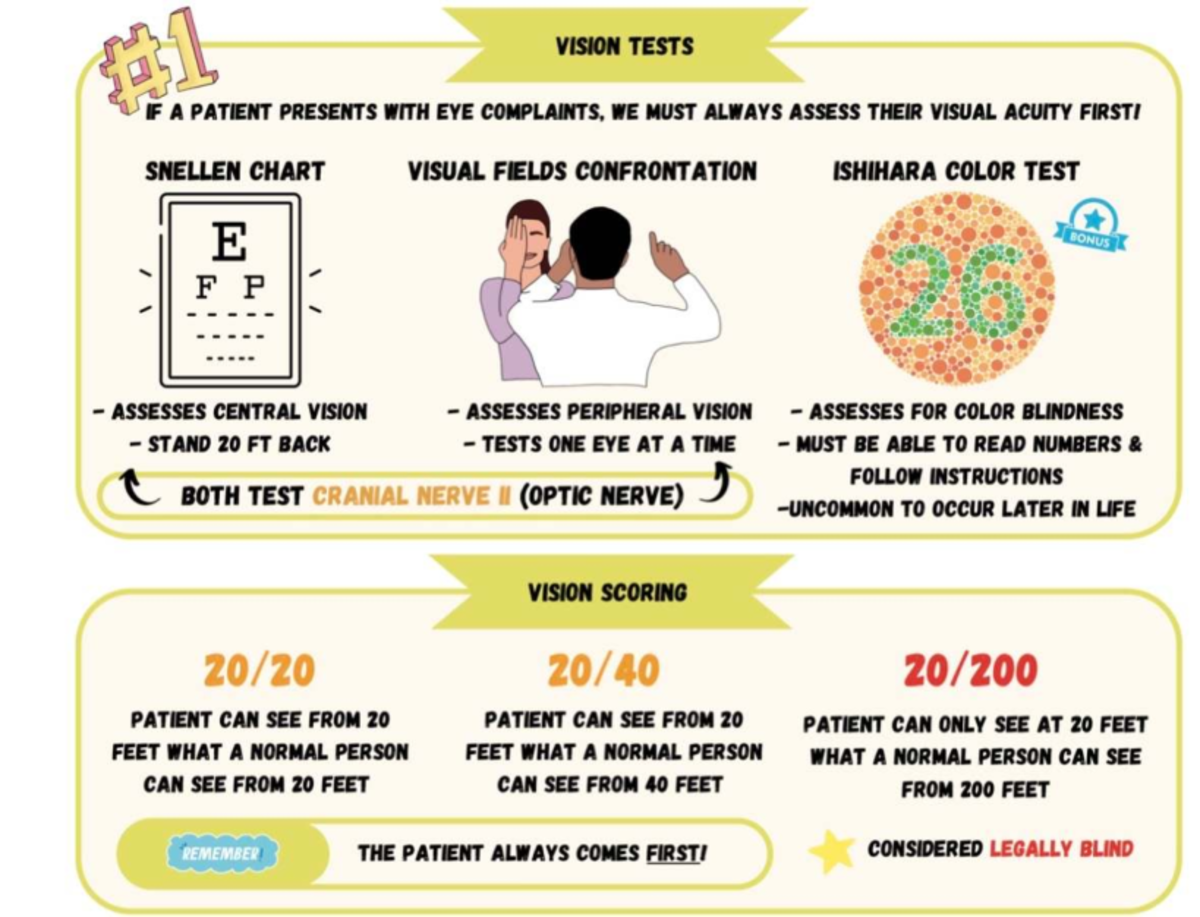 Vision Assessment Protocols: Eye Complaints & Visual Acuity Tests - Studocu