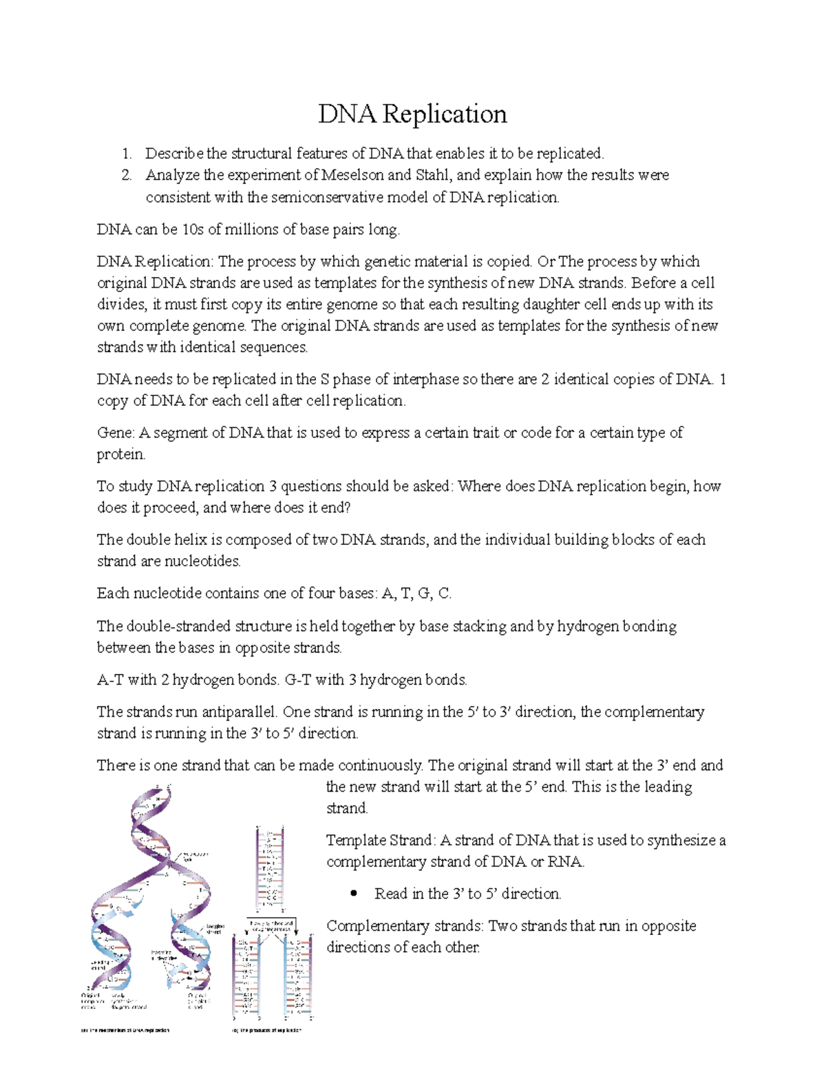 DNA Replication (BIO101): Structural Features & Semiconservative Model ...