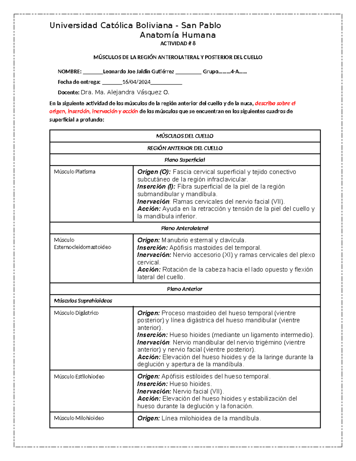 Actividad #8: Músculos de la Región Anterolateral y Posterior del ...