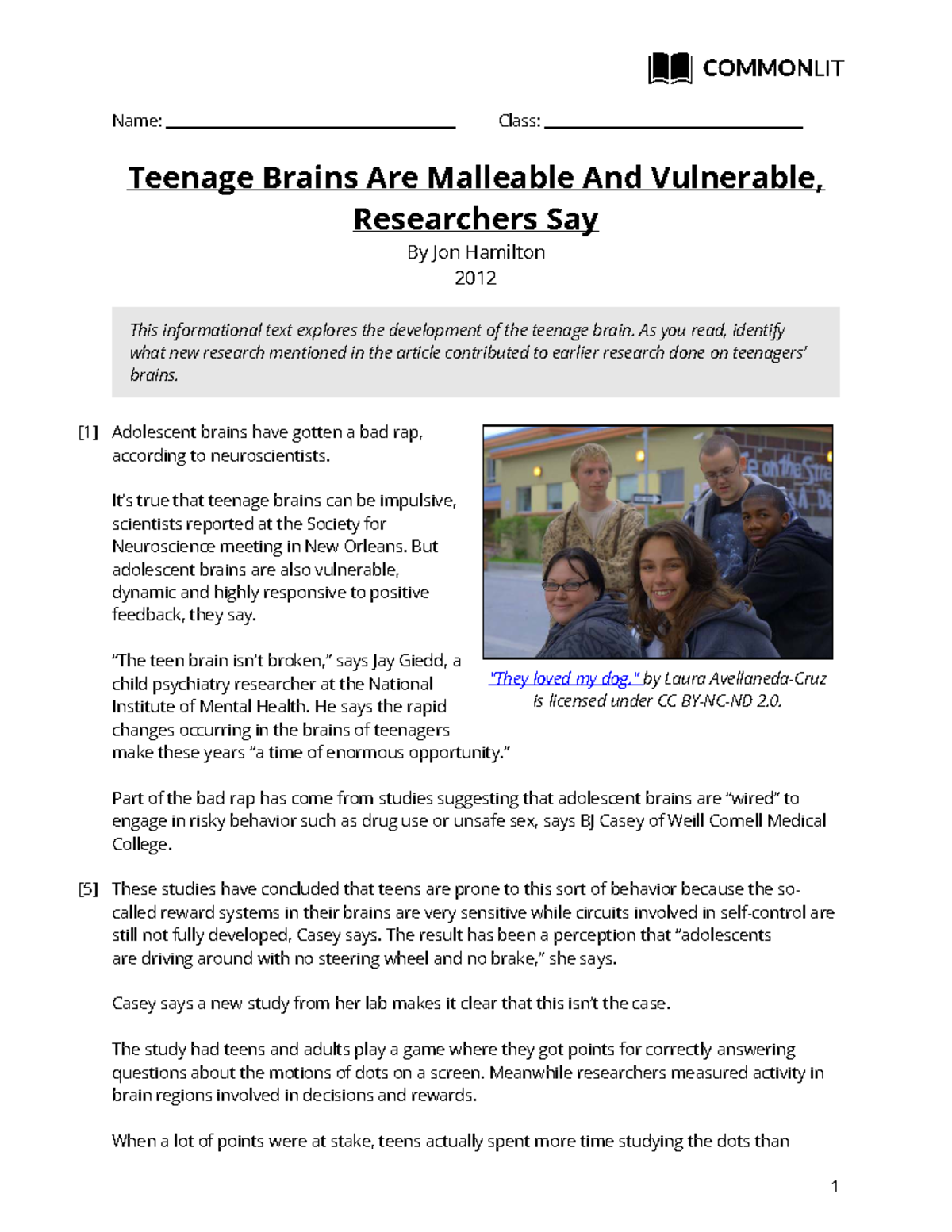 Teenage Brain Development: Malleability & Vulnerability Insights (2012 ...